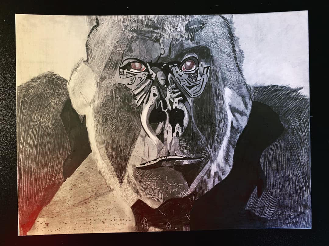 Silverback- Original – Kimpton Graphics Art